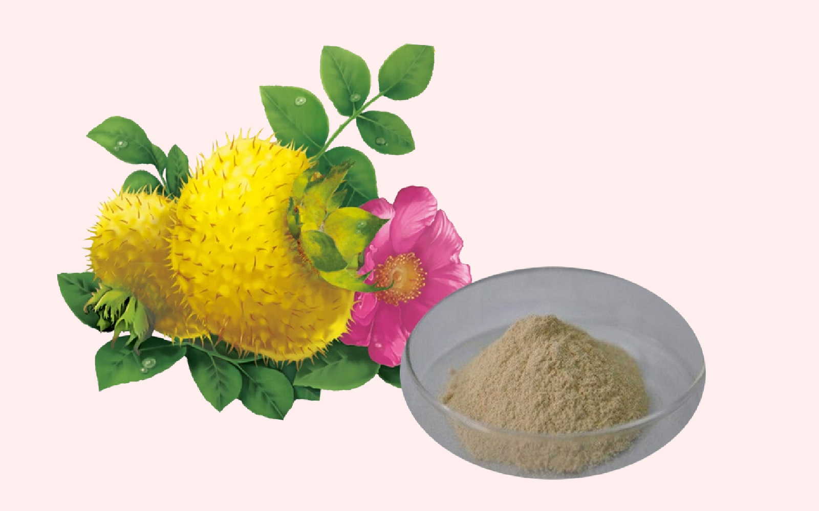 The Amazing Benefits of Rosa Roxburghii – Seriously FAB®