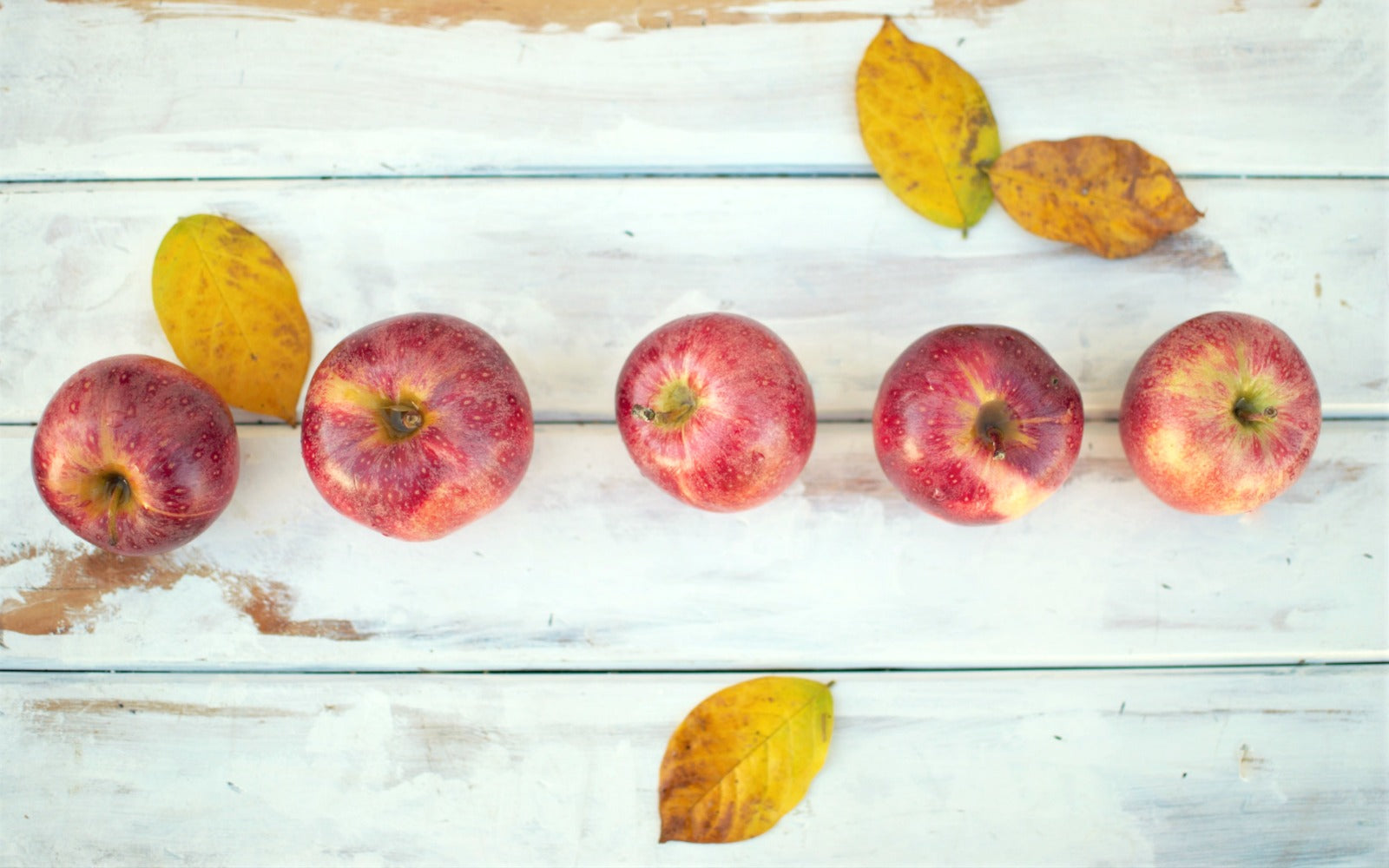 Seasonal Foods for Dewier, Healthier Skin This Fall – Seriously FAB®